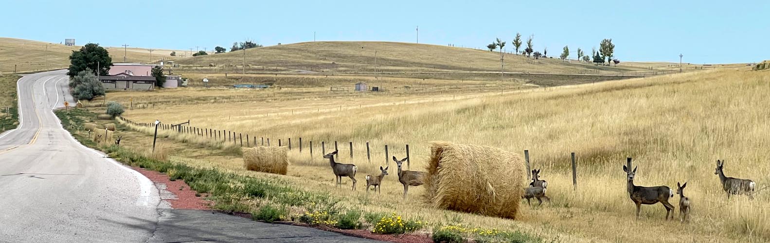 Welcome to the Recluse, Wyoming Community!